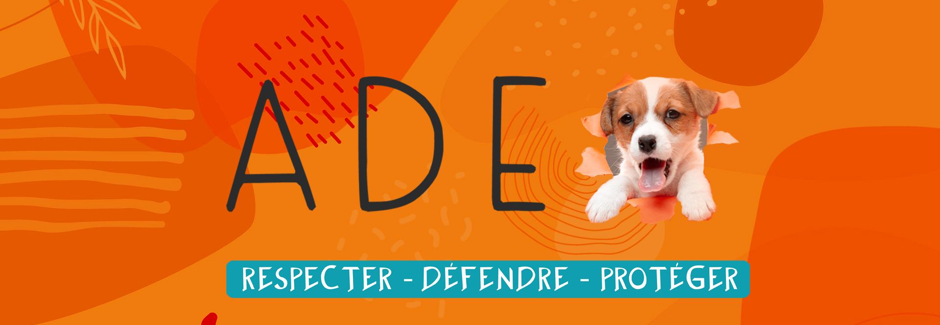 Présentation d'ADEO - AVIGNON